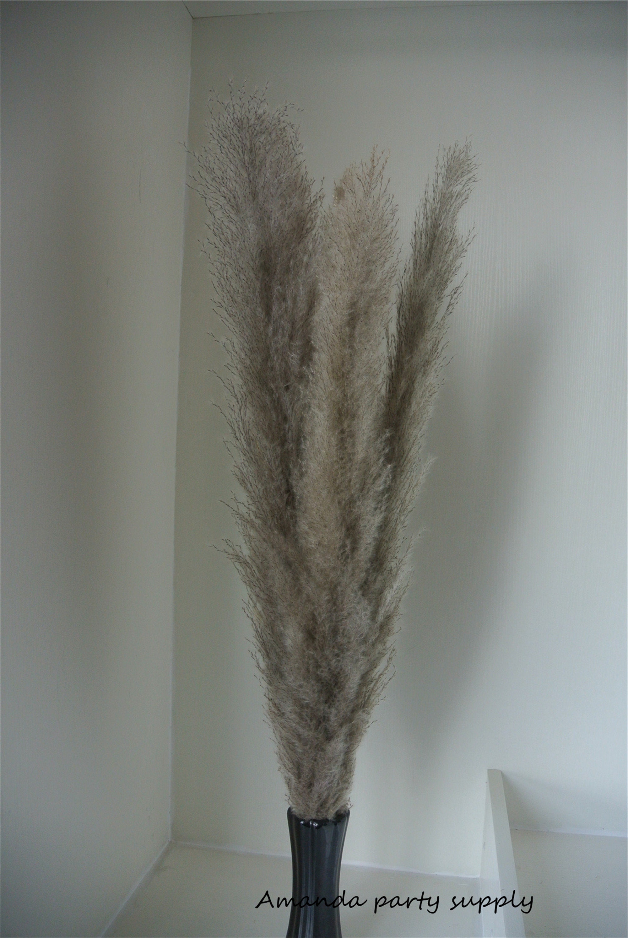 12 pcs natural color pampas grass 34inchdried pampas | Etsy