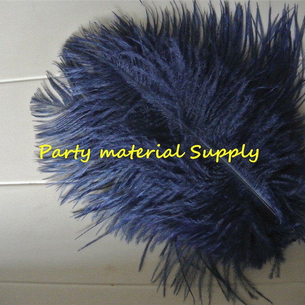 Navy Blue Feathers - Etsy