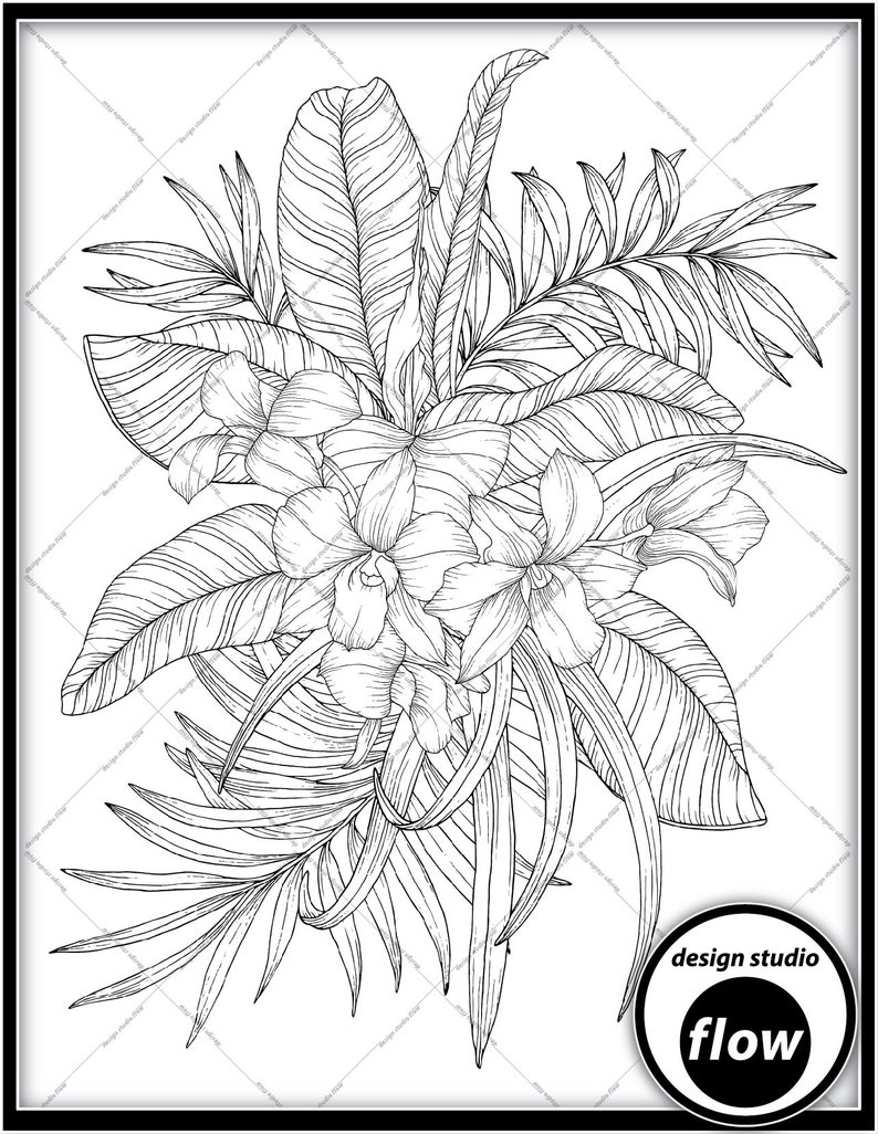 Printable Colouring Pages- Tropical Layouts-pack 1 (DSF-CPT-1) - Etsy