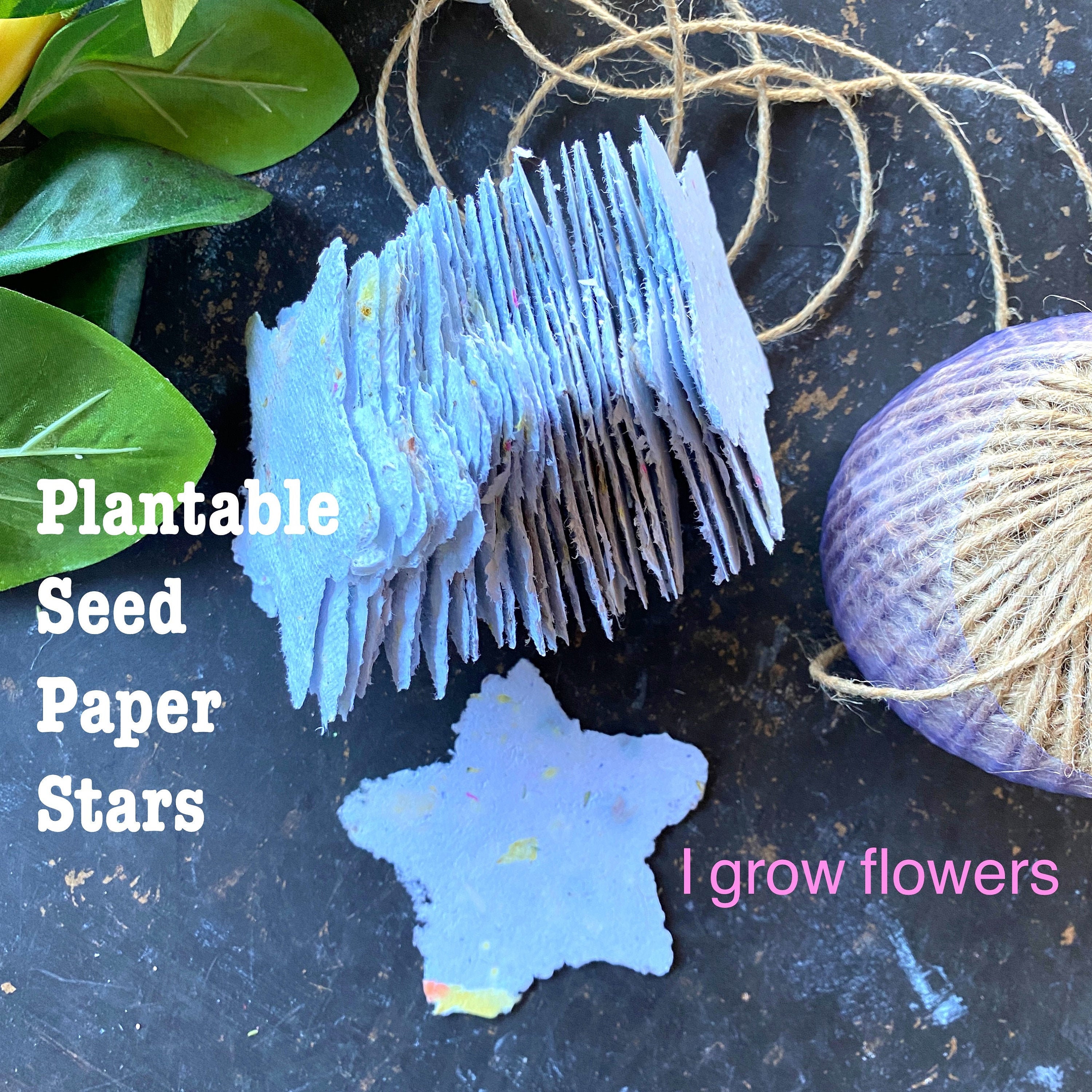 Plantable Seed Paper Gift Tag Stars Party Favours Recycled - Etsy Australia