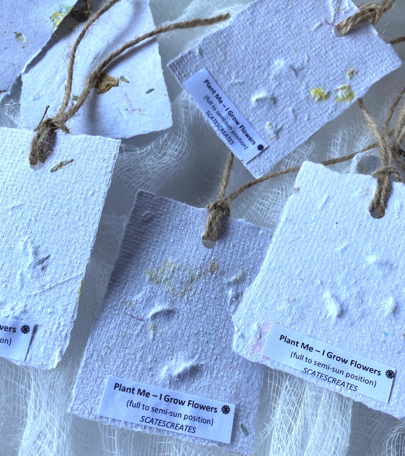 Gift Tags Plantable Seed Paper 10 Tags Handmade Recycled - Etsy Australia