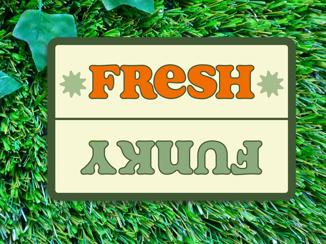 NEW AND IMPROVED - Thick Funky/fresh Dishwasher Magnet - Dual-sided ...