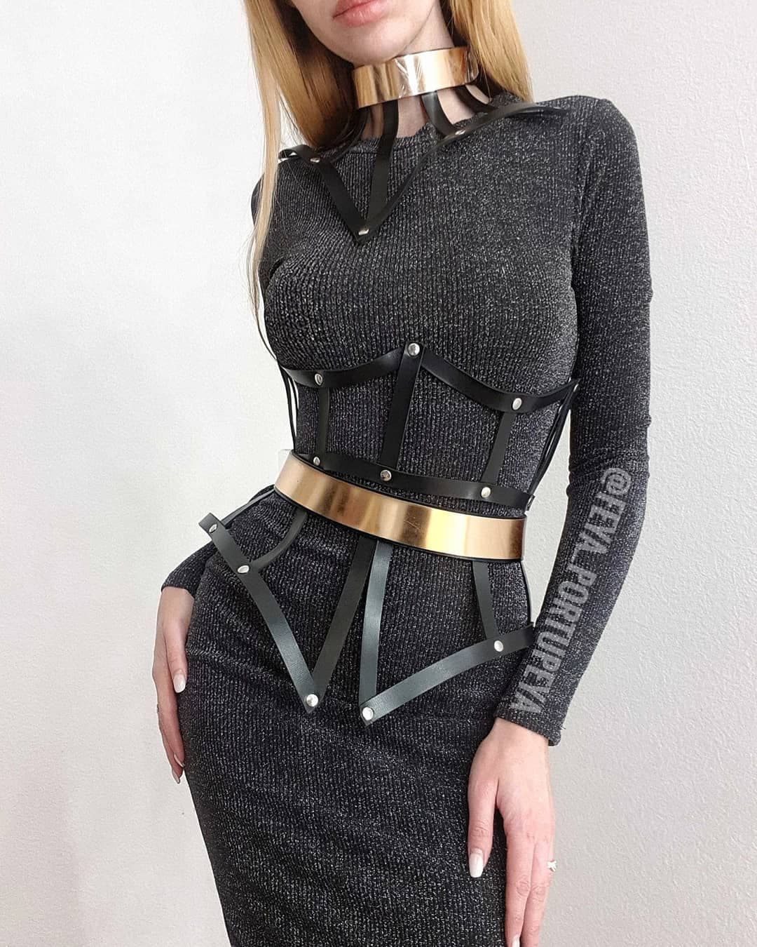 Luxury Set of Leather Choker and Corset Basque Belt Women, Party Dress ...