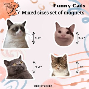 Funny Cats Magnets, Cat Faces, Funny Magnets, Memes Magnets, Waterproof ...