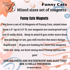 Funny Cats Magnets, Cat Faces, Funny Magnets, Memes Magnets, Waterproof ...