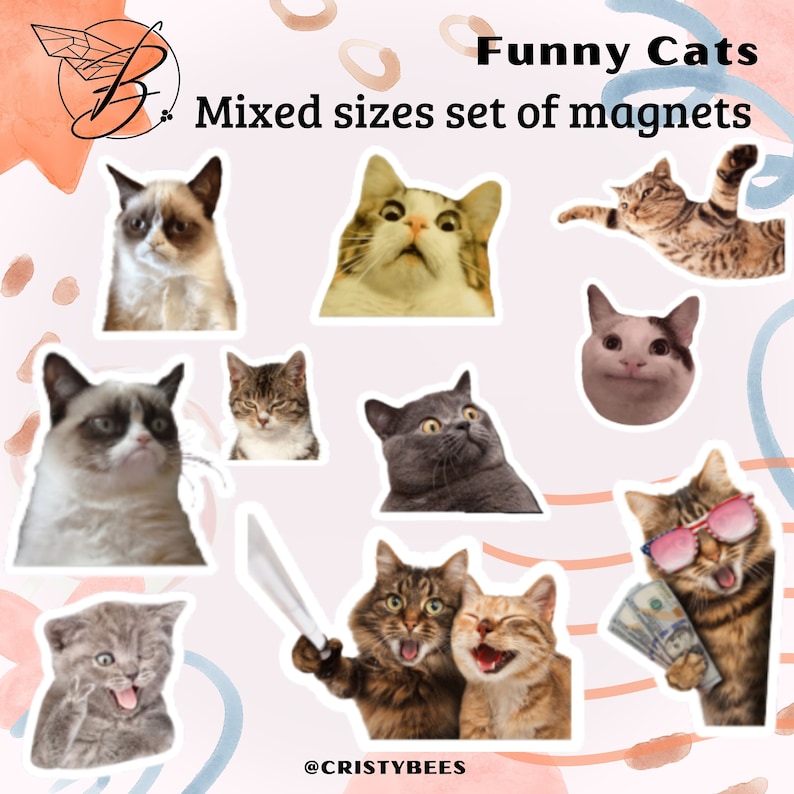Funny Cats Magnets Cat Faces Funny Magnets Memes Magnets - Etsy