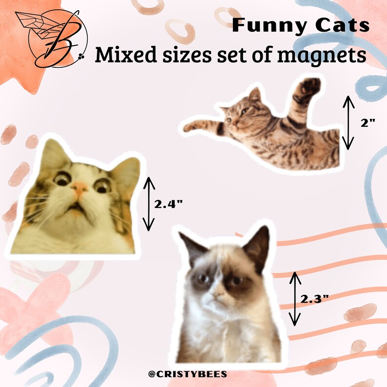Funny Cats Magnets Cat Faces Funny Magnets Memes Magnets - Etsy