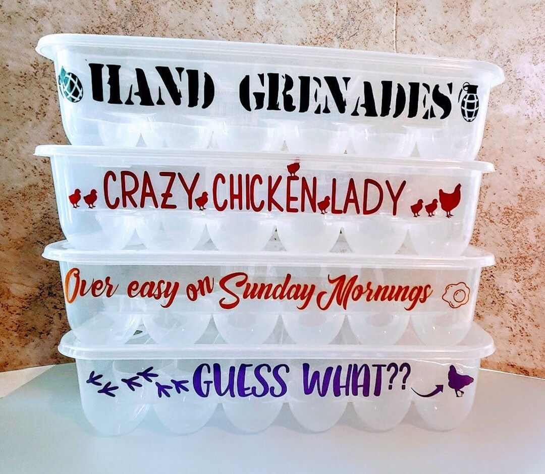 2-plastic Reusable Egg Containers - Funny Egg Carton- Dozen Eggs ...