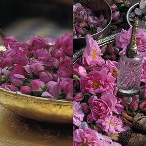 Somali Rose Perfume&body Oil - Etsy