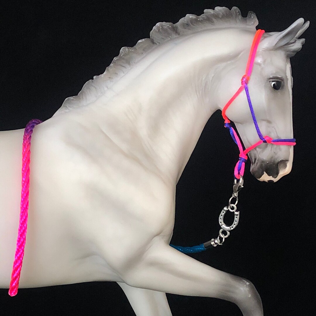 Neon Rainbow Rope Halter Set - Etsy