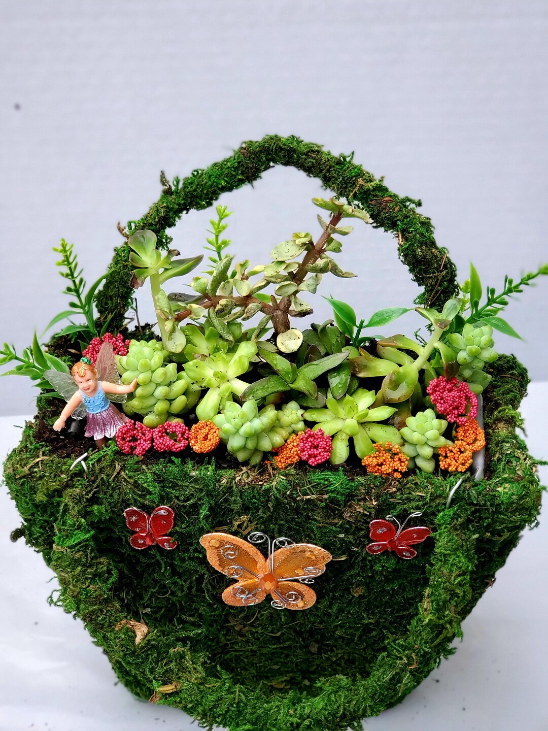 Preserved Green Moss Basket With Succulents Arrangement - Etsy