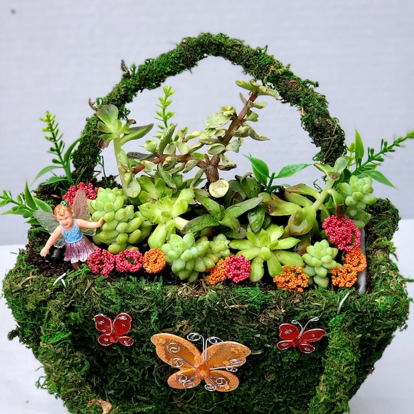Moss Arrangement - Etsy