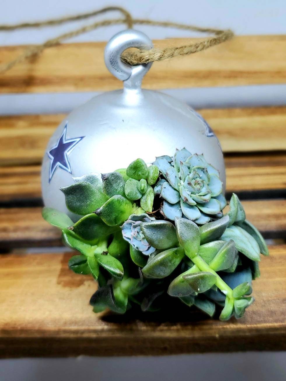 Custom Football Team Succulent Hanging Globe, Hand-painted Fan Gift - Etsy
