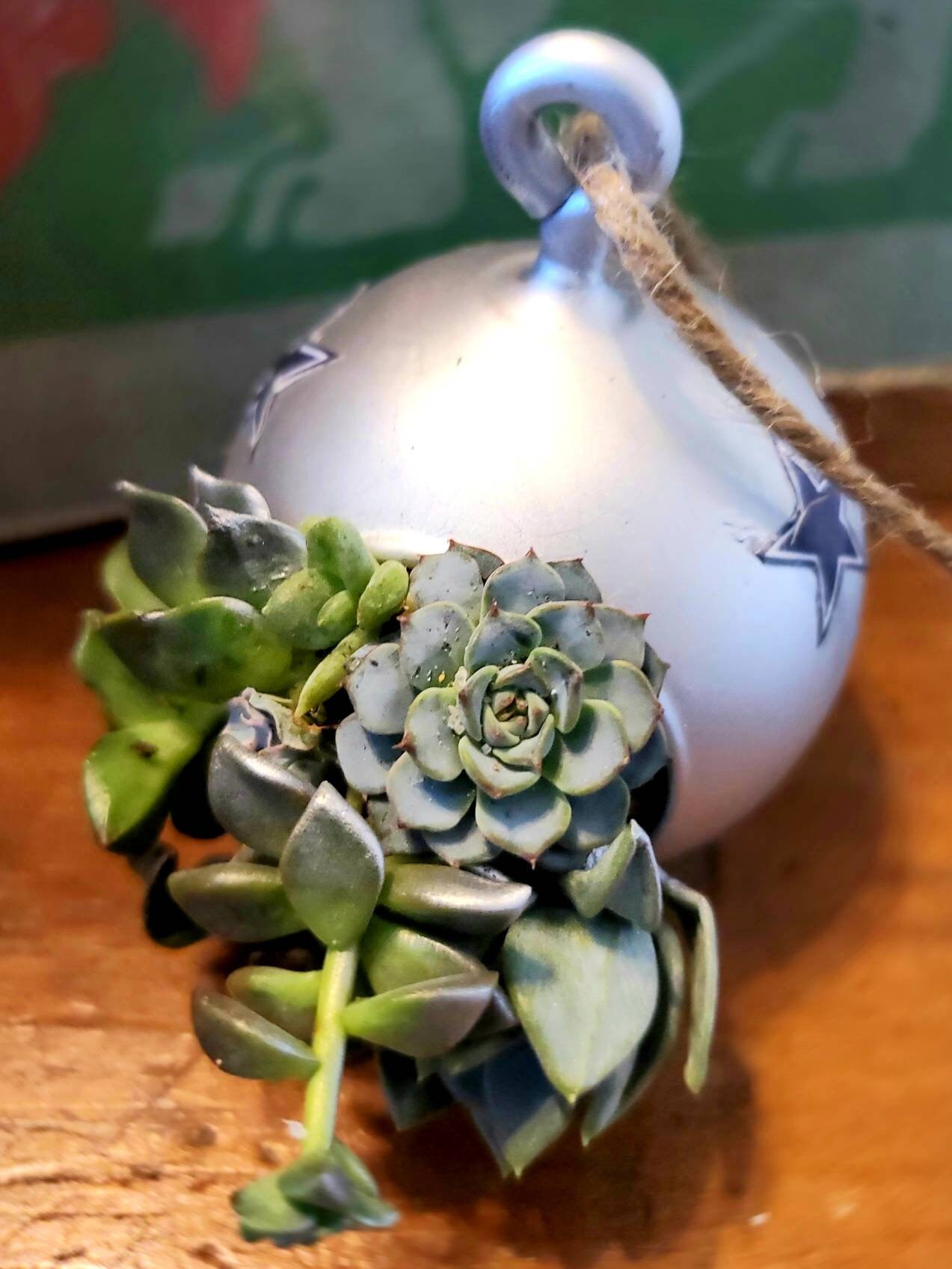 Custom Football Team Succulent Hanging Globe, Hand-painted Fan Gift - Etsy