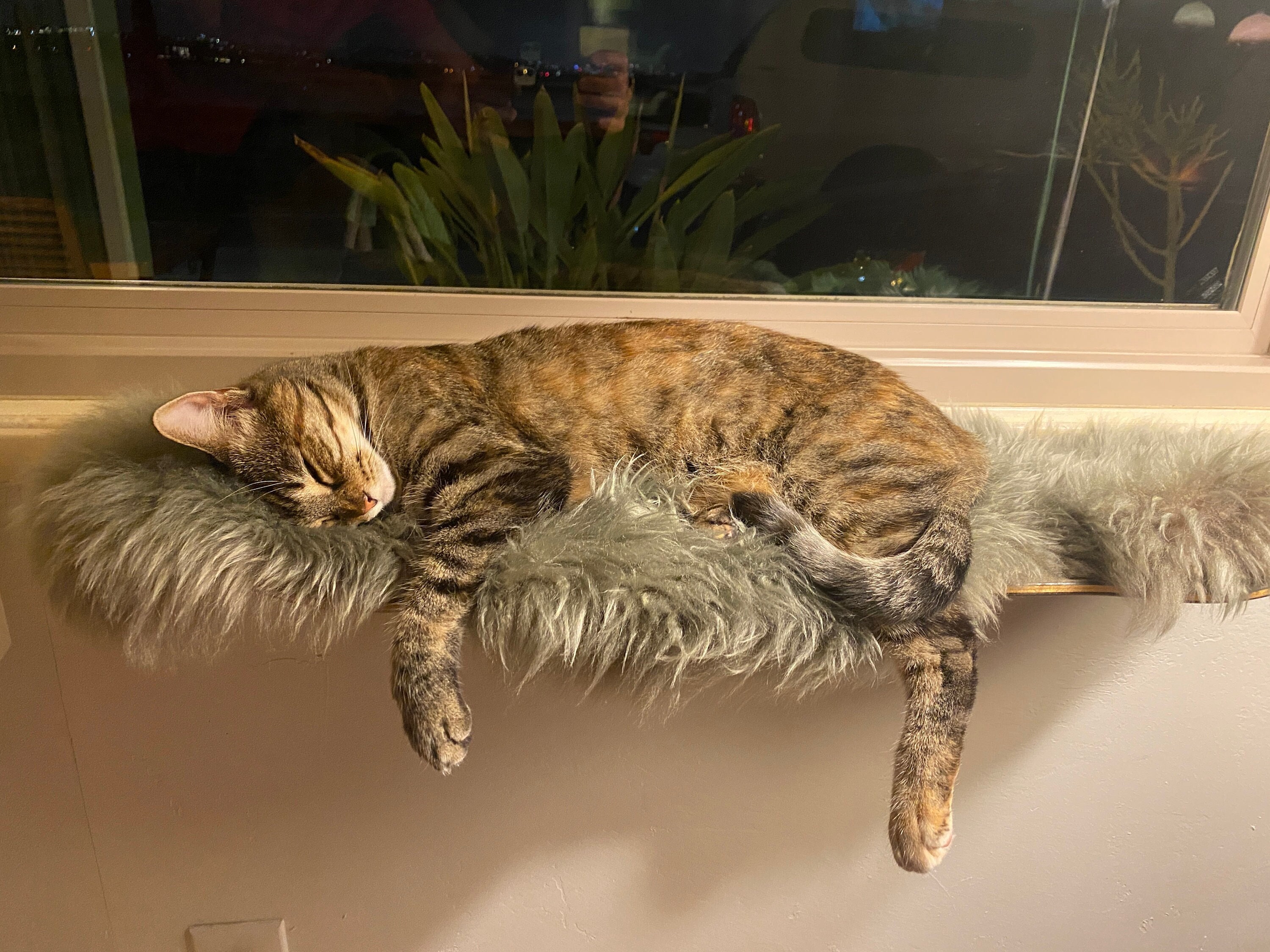 Cat Chill Lounger - Wall and Window Perch - Natural Soft Sheep Fur on ...