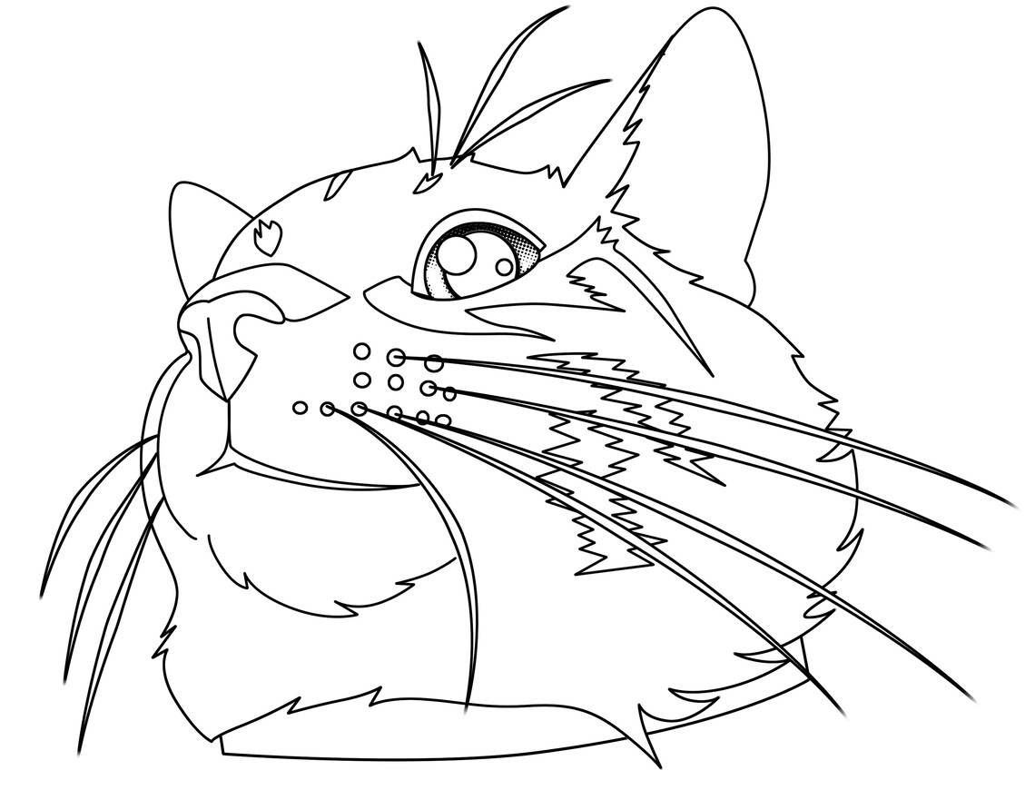 Custom Coloring Page Pet Portraits - Etsy