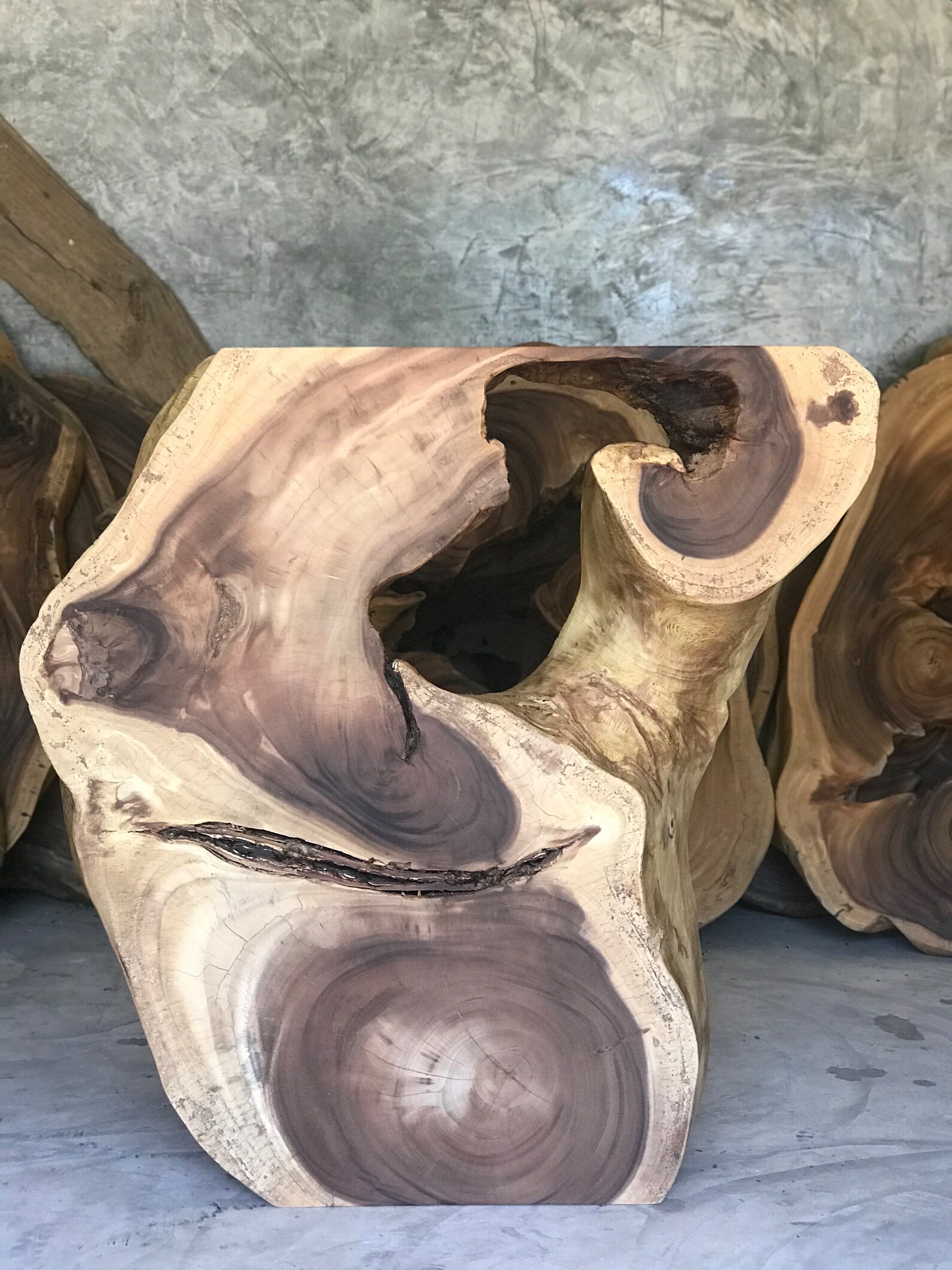 Exotic Guanacaste Root Table Root Console - Etsy