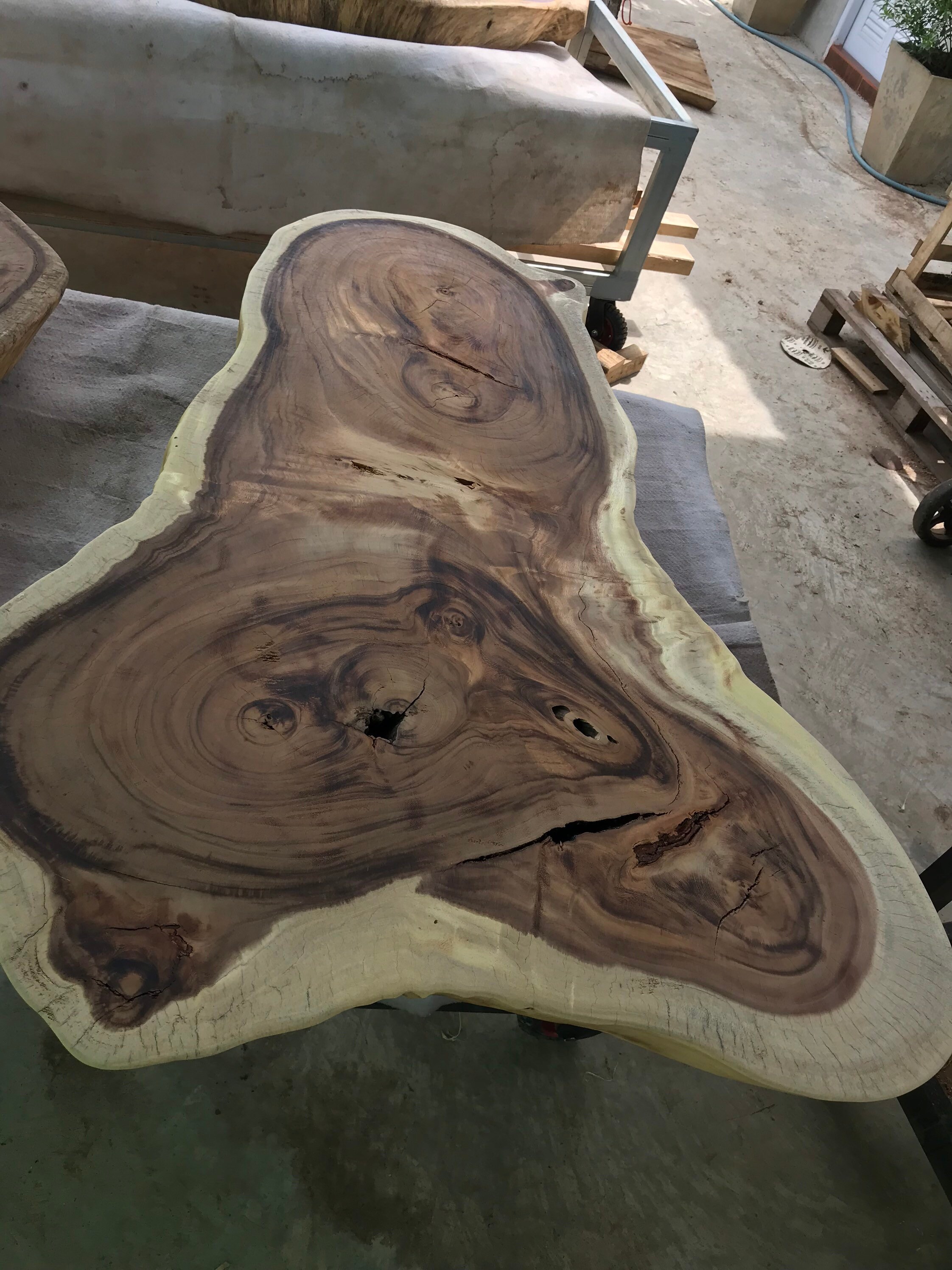 Live Edge Acacia Wood Coffee Table, Natural Round Slab, Steel Legs - Etsy