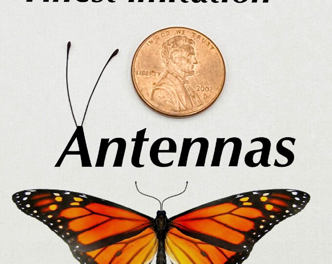 10 Pair Realistic Butterfly Antennas Unmounted. Perfect for Most Insect ...