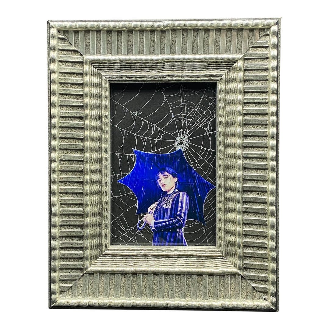 Real Spider Web Featuring Wednesday Addams. Arachnid Web Preserved ...