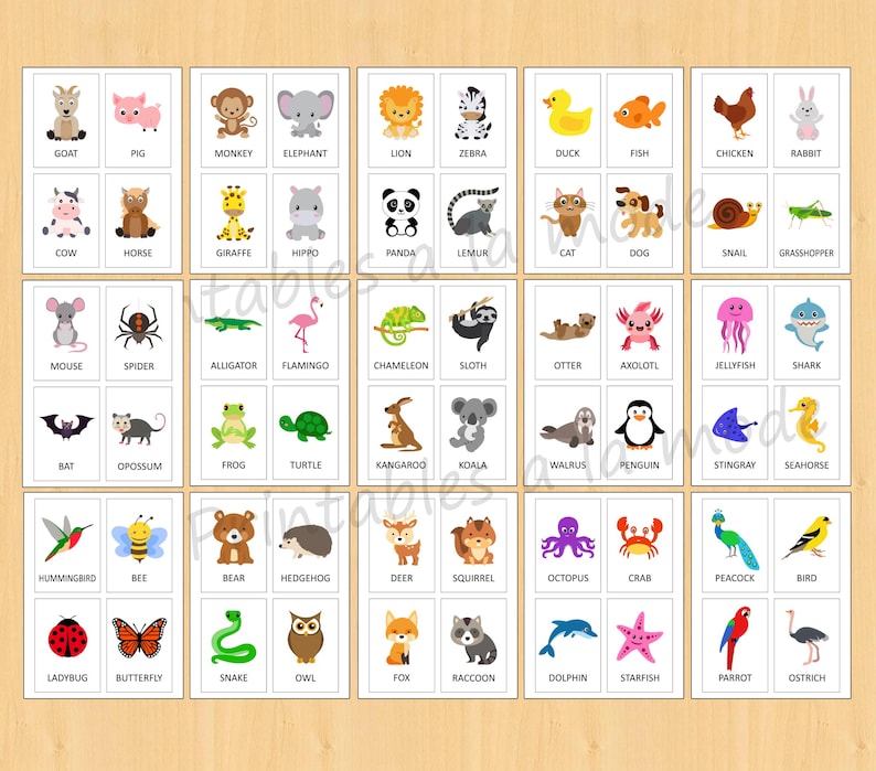 Animal Flashcards | Memory / Matching Skills Game | Toddlers, Children ...
