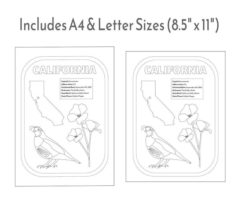 USA 50 States Coloring Book 50 Coloring Pages Instant Download PDF File ...