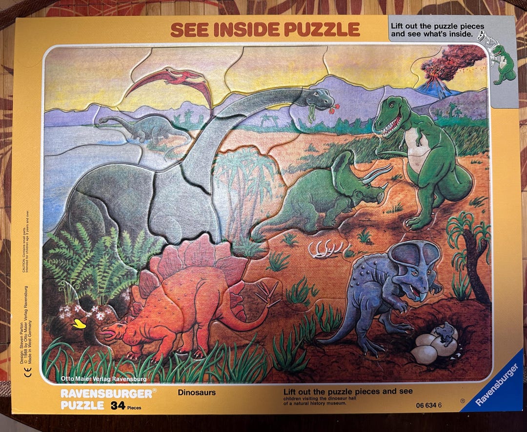 Dino Secret Puzzle Dinosaurs - Etsy