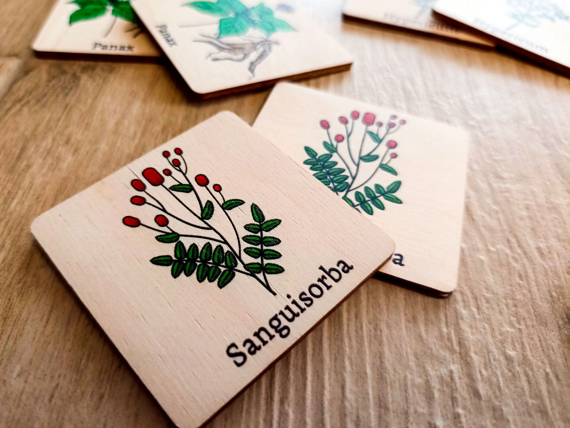 Wooden Memory Game Medicinal Plants Matching Cards Wood Montessori Toys ...