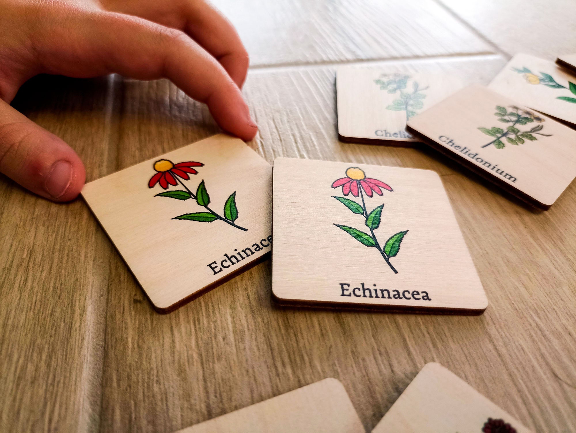Wooden Memory Game Medicinal Plants Matching Cards Wood Montessori Toys ...
