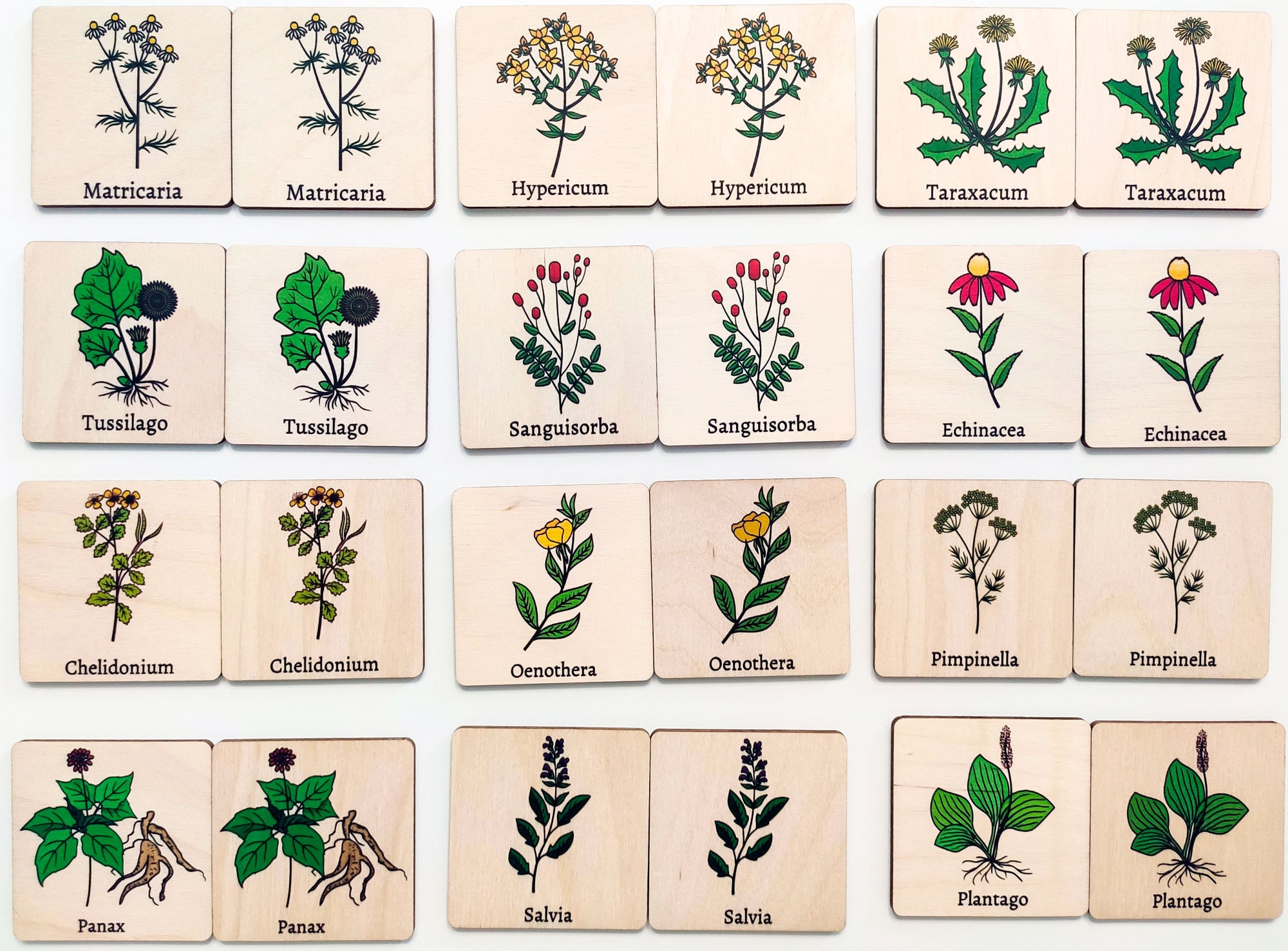 Wooden Memory Game Medicinal Plants Matching Cards Wood Montessori Toys ...