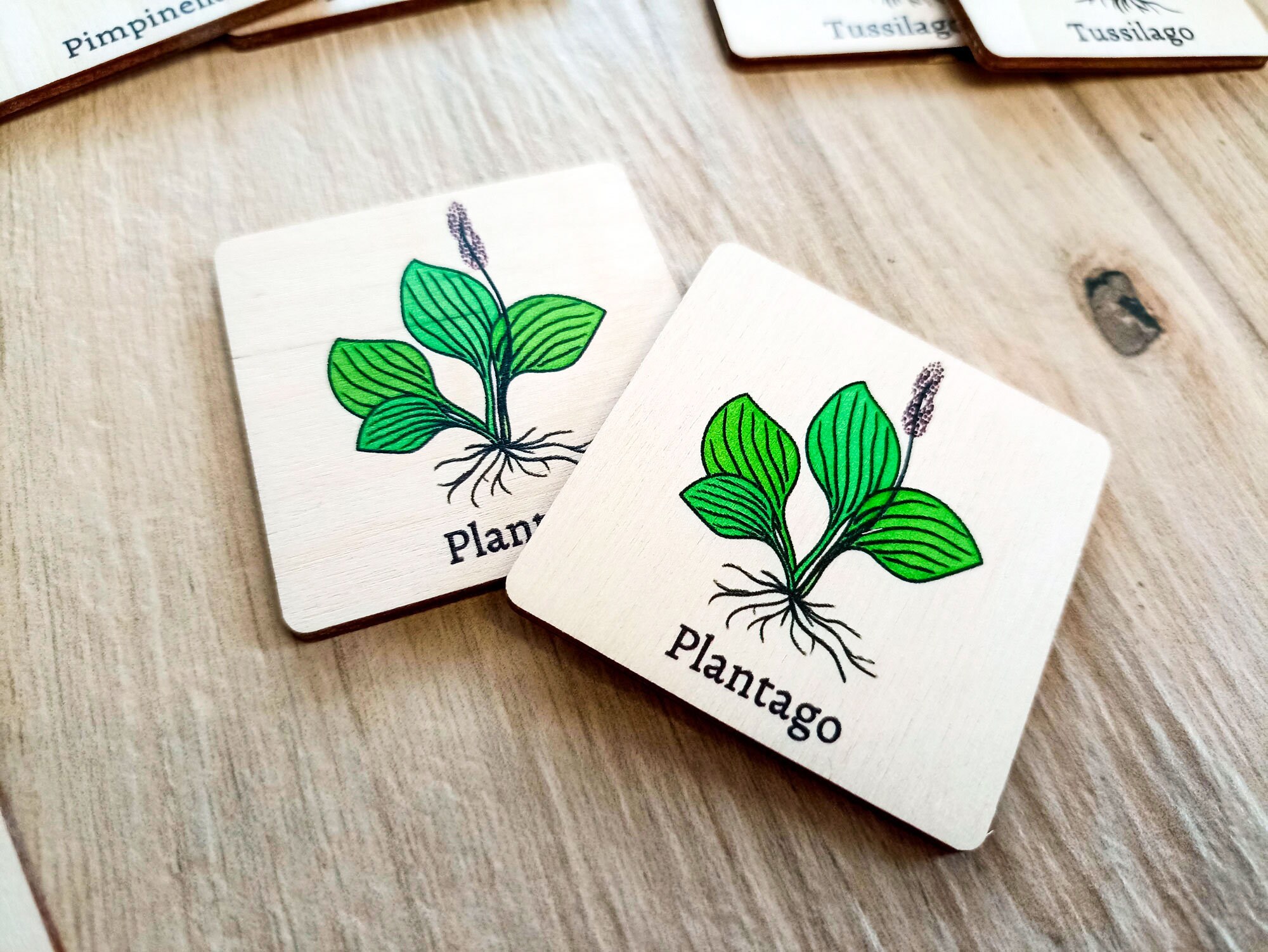 Wooden Memory Game Medicinal Plants Matching Cards Wood Montessori Toys ...