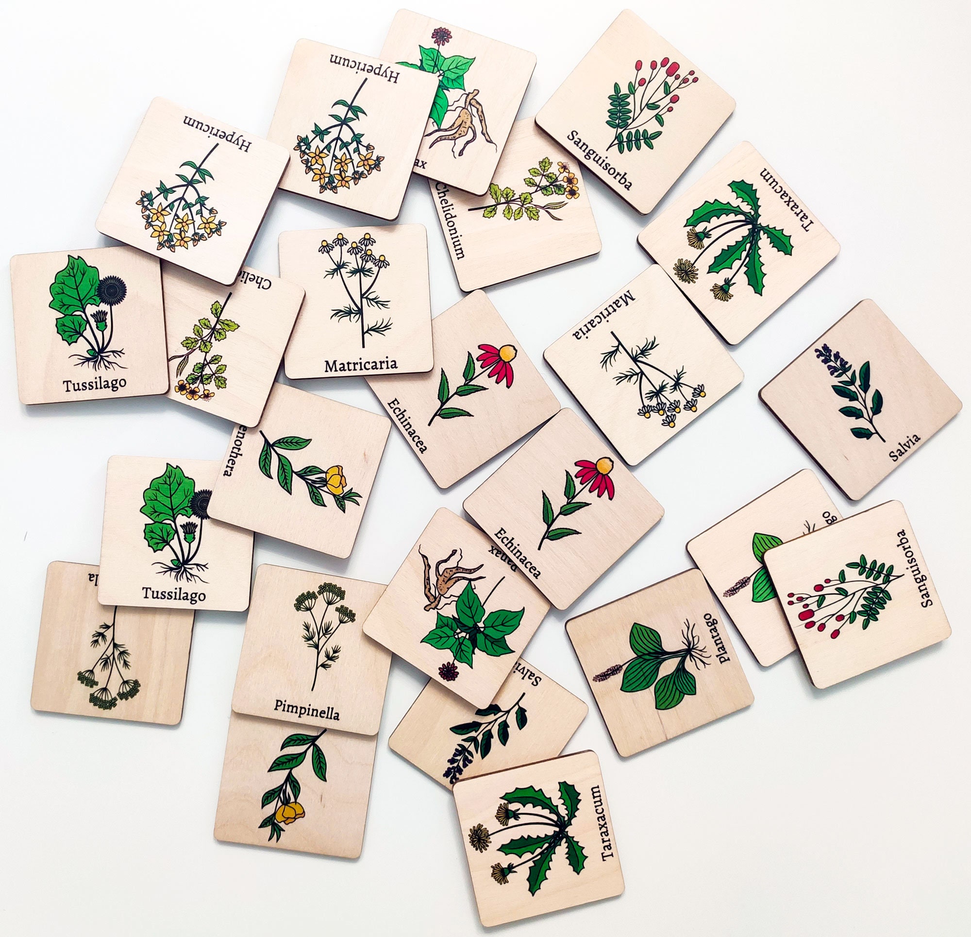 Wooden Memory Game Medicinal Plants Matching Cards Wood Montessori Toys ...