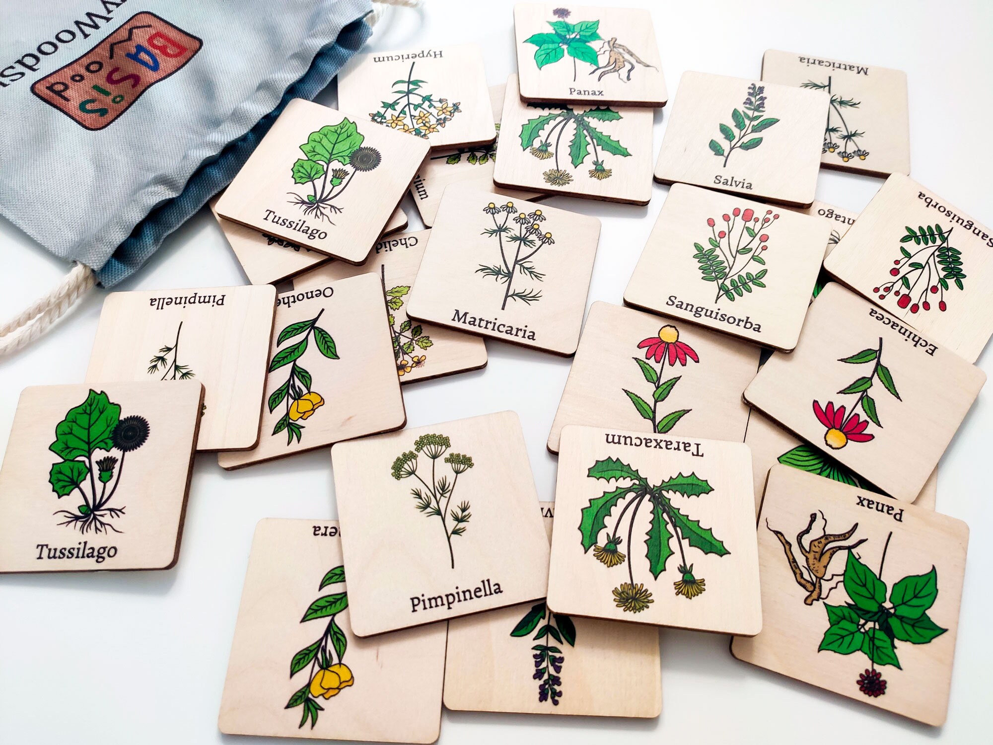 Wooden Memory Game Medicinal Plants Matching Cards Wood Montessori Toys ...