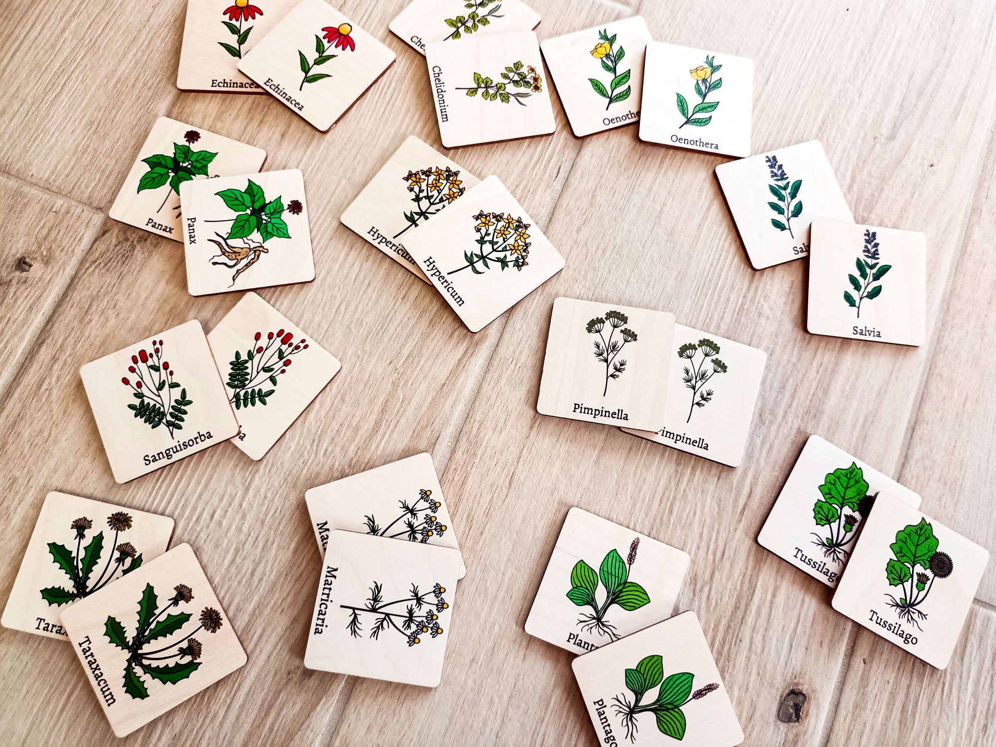 Wooden Memory Game Medicinal Plants Matching Cards Wood Montessori Toys ...