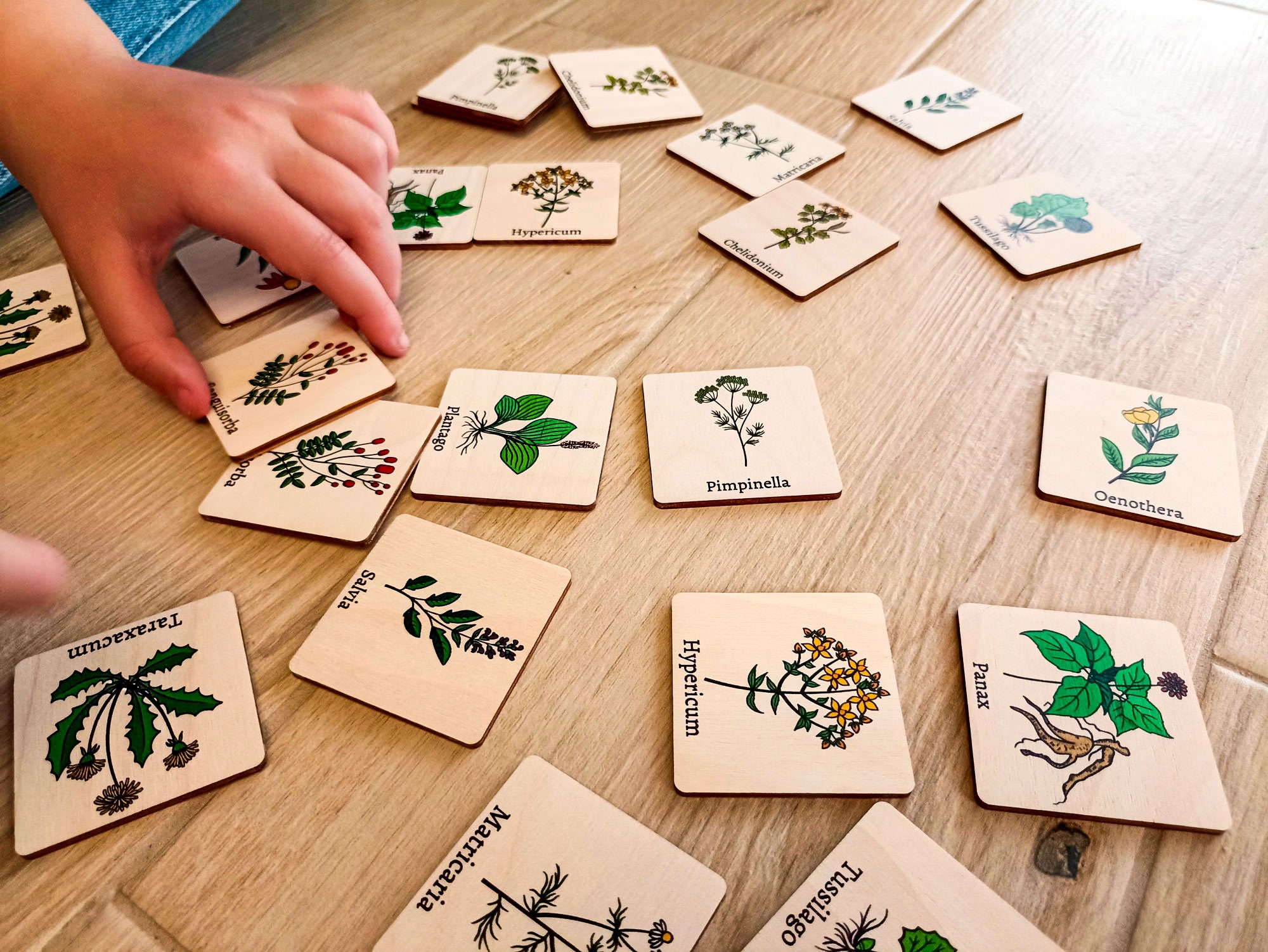 Wooden Memory Game Medicinal Plants Matching Cards Wood Montessori Toys ...