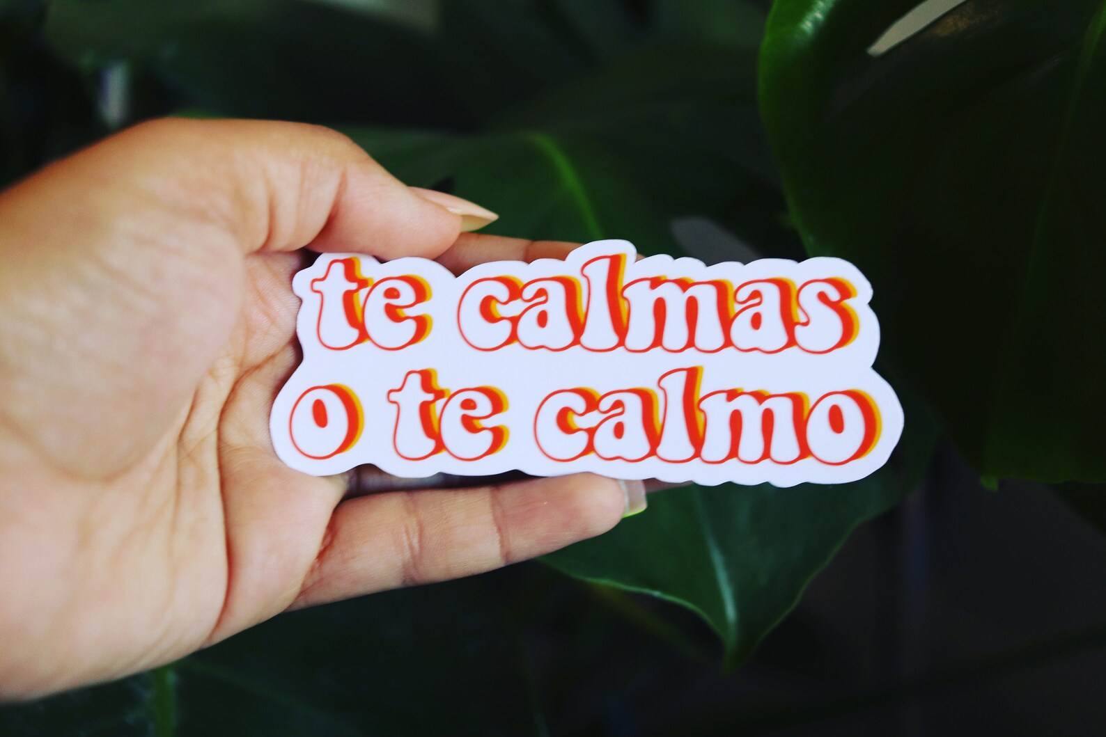 Te Calmas O Te Calmo Sticker // Spanish Saying Sticker // Latino ...