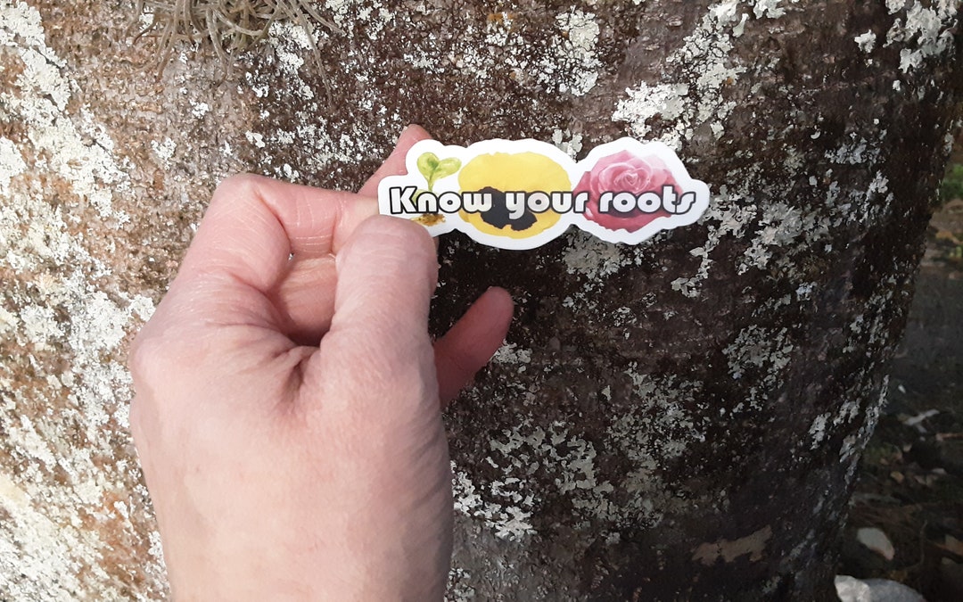 Know Your Roots Hanson Mmmbop Sticker, Laptop Sticker, 3x1 Inch Sticker ...
