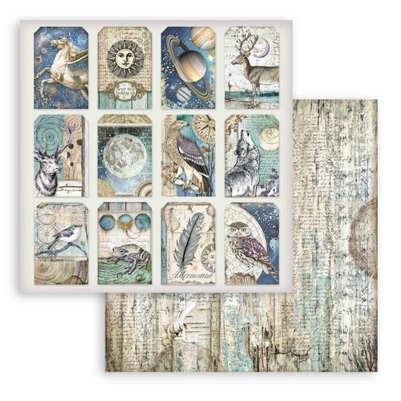 Stamperia Single Sheets 12x12 Scrapbooking Paper Cosmos - Etsy