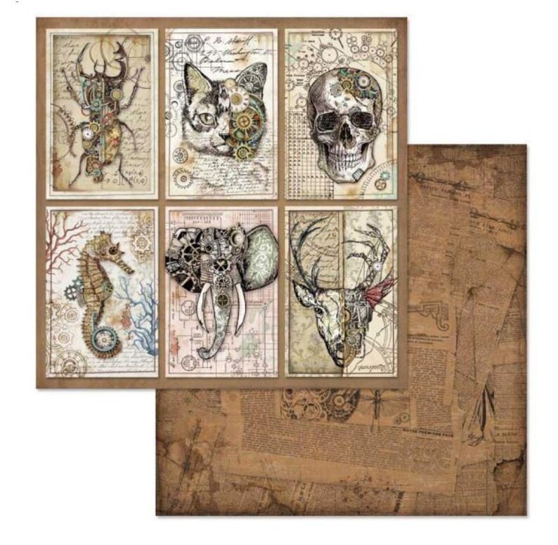 Stamperia 12x12 Single Sheets Double Sided Cardstock - Etsy