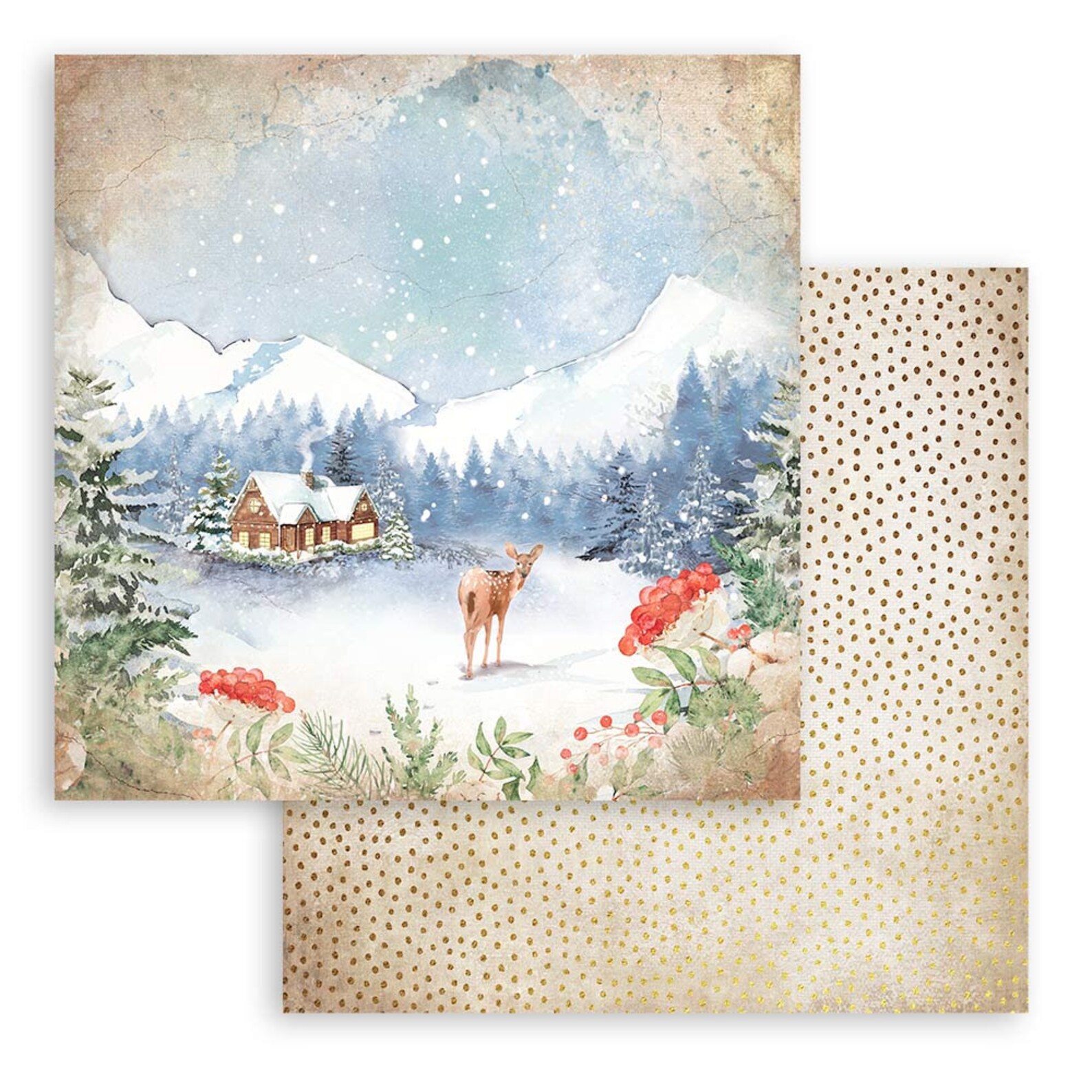Stamperia 12x12 Scrapbooking Paper Pad 10 Sheets Double Sided - Etsy