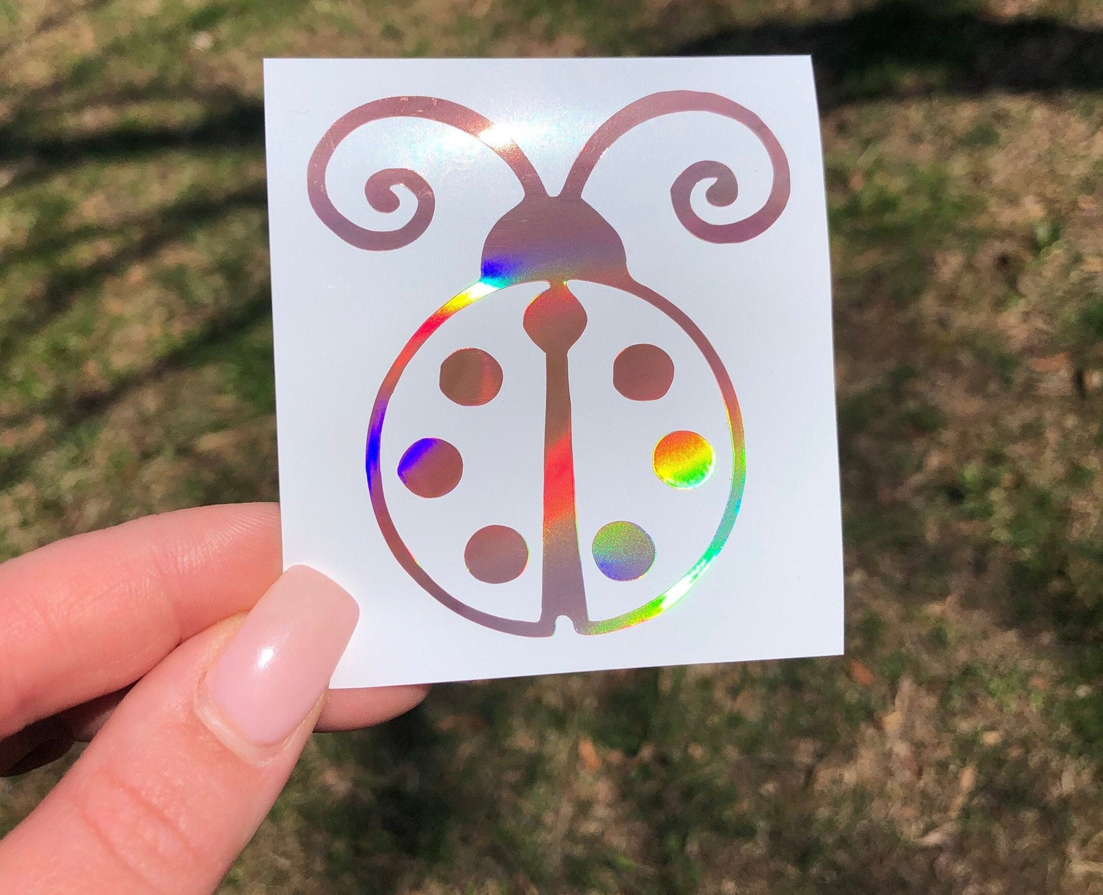 Ladybug Sticker Ladybug Decal Insect Car Window Decal - Etsy