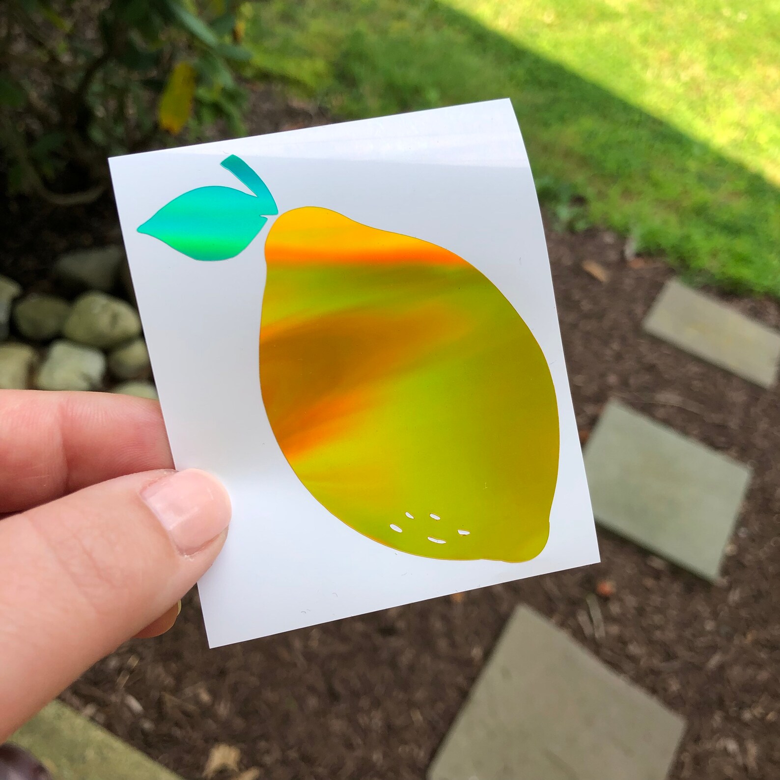 Lemon Car Decal Lemon Sticker Lemon Water Bottle Decal - Etsy