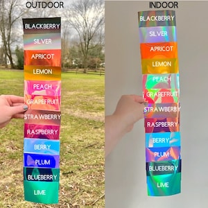 Salty Sticker, Salty Decal, Tropical Sticker, Beach Sticker, Beach Car ...