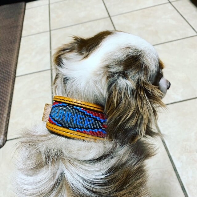 Custom Tooled/beaded Dog Collars - Etsy