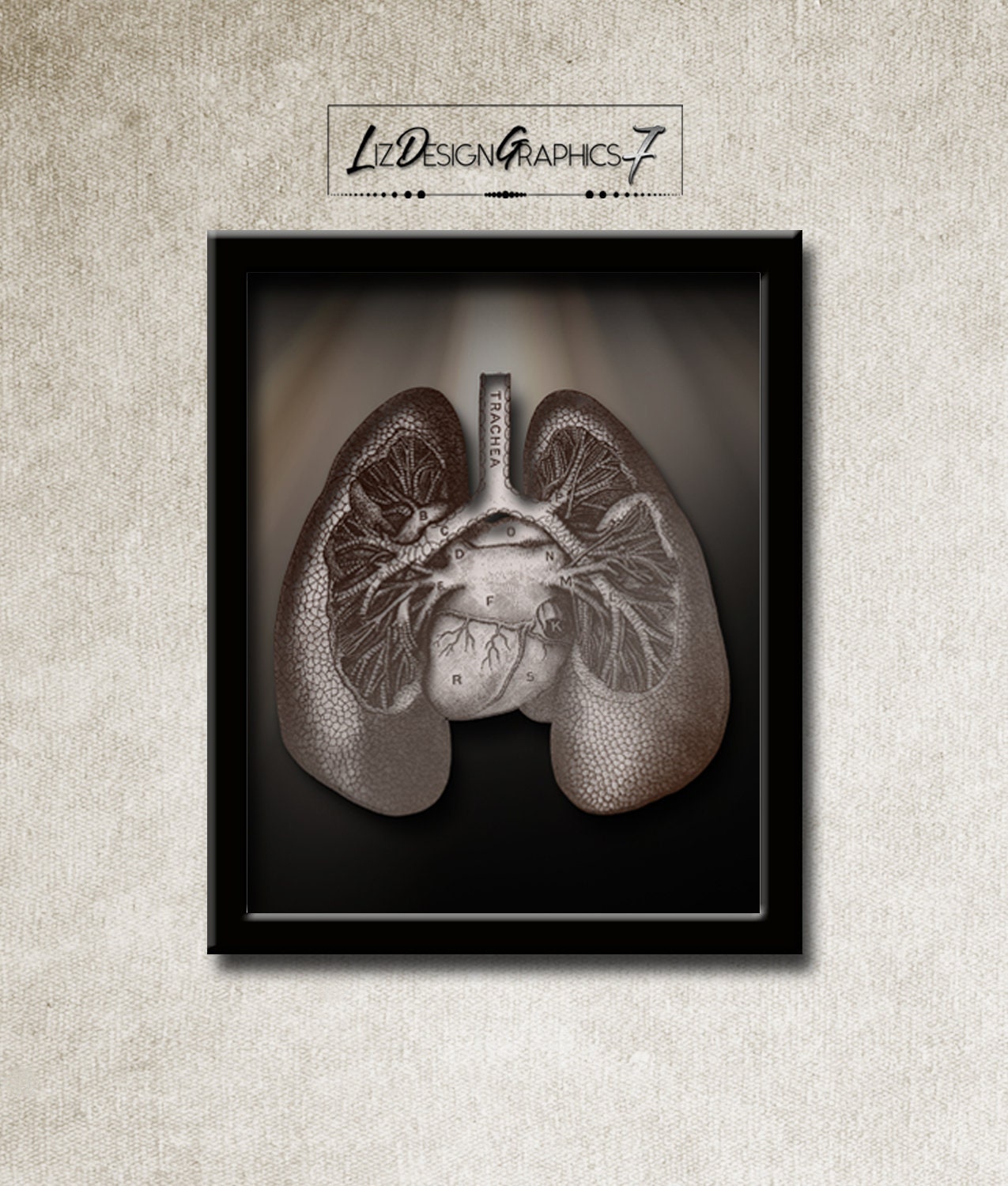 Human Lungs Wall Art Human Lungs Print Vintage Anatomy Wall Art Vintage ...