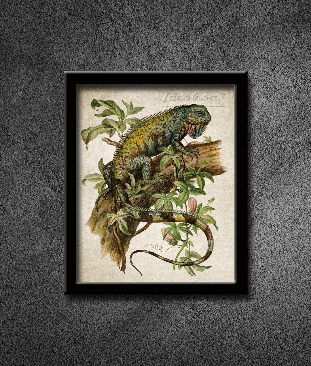 Green Iguana Print Iguana Instant Downloads Vintage Iguana Prints ...