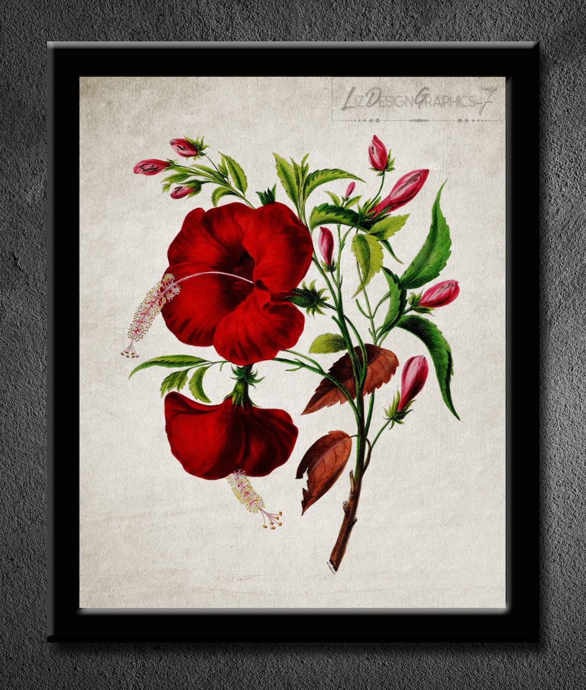 Red Flower Art Print Illustration de fleurs antiques - Etsy France