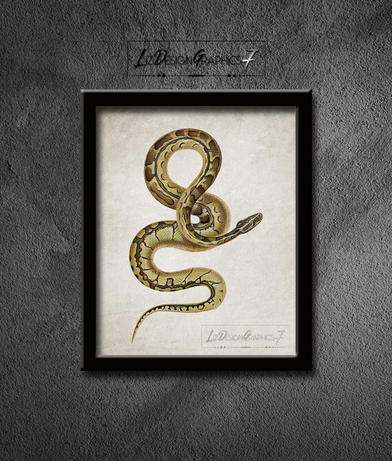 Snake Animal Print Snake Instant Downloads Snake Wall Art | Etsy