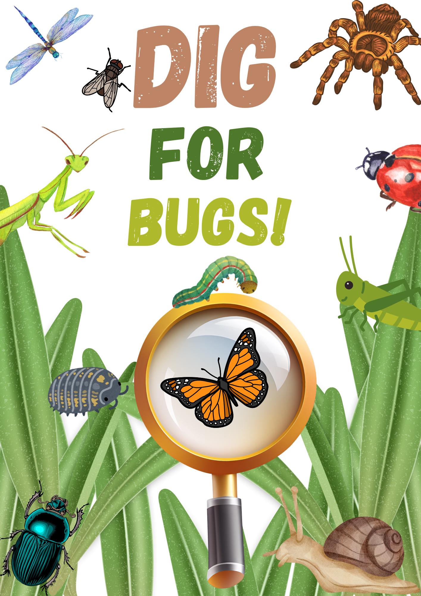 Bug Birthday Party Sign Decor Bundle - Etsy