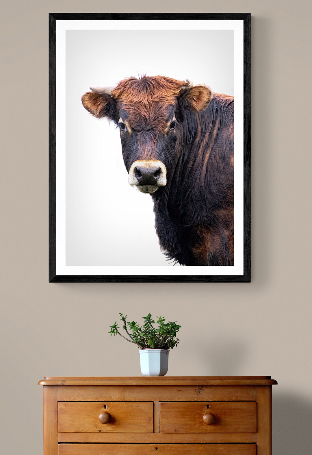 The Red - Welsh Black Bullock. Fine Art Photographic Print. Bull ...